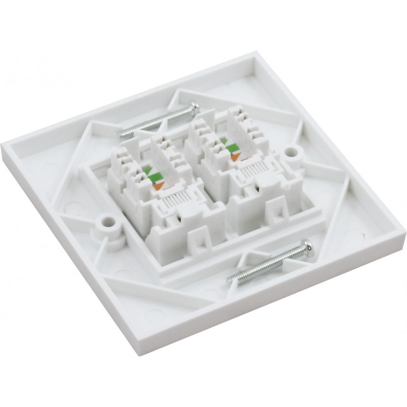 Cat6 UTP RJ45 Modules with Faceplate | Cat6 Modules & Outlets